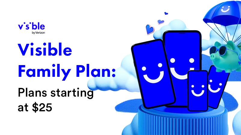 Visible Family Plan: The Secret Alternative Families Love